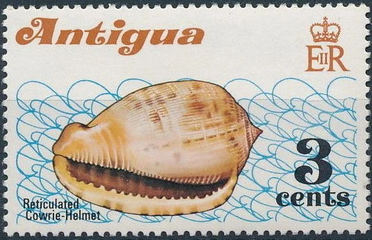 Antigua 1972 Sea Shells | JPP-Stamps Wiki | Fandom