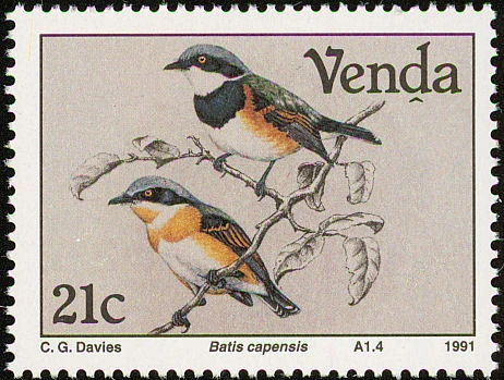 Venda 1991 Birds | JPP-Stamps Wiki | Fandom