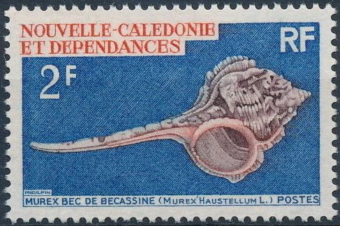 New Caledonia 1969 Sea Shells | JPP-Stamps Wiki | Fandom