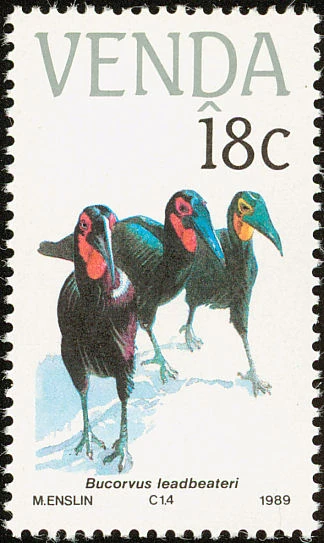 Venda 1989 Endangered Birds | JPP-Stamps Wiki | Fandom