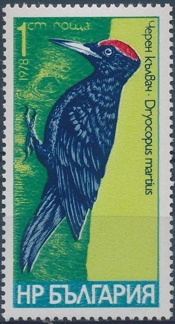 Bulgaria 1978 Woodpeckers | JPP-Stamps Wiki | Fandom