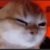 QuinnBo | JPQ Wiki | Fandom