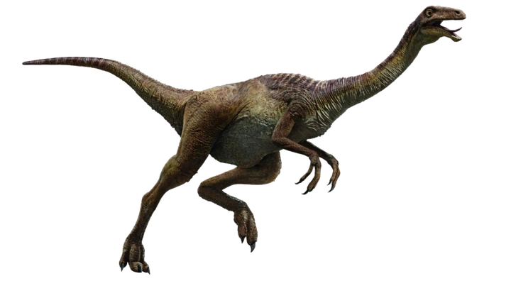 Gallimimus | Jurassic Park: Revival Wiki | Fandom