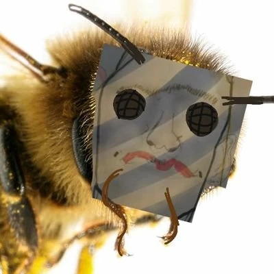 Jreg Heffbee | Jreg Heffley Wiki | Fandom