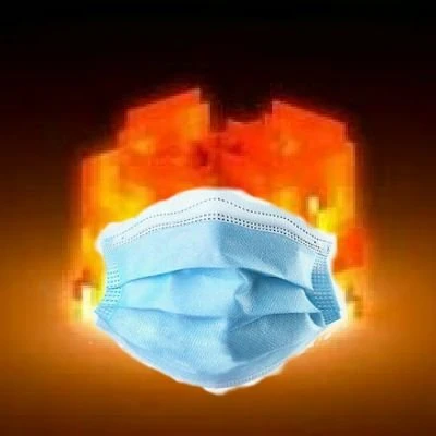 Fire665 | Jreg Heffley Wiki | Fandom