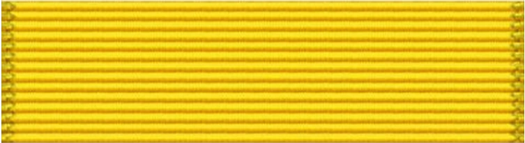 Air Force JROTC Gold Valor Award | JROTC Wiki | Fandom