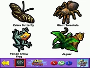 JumpStart Animal Adventures | JumpStart Wiki | Fandom