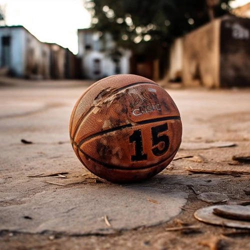 Jokic | JStu Wiki | Fandom