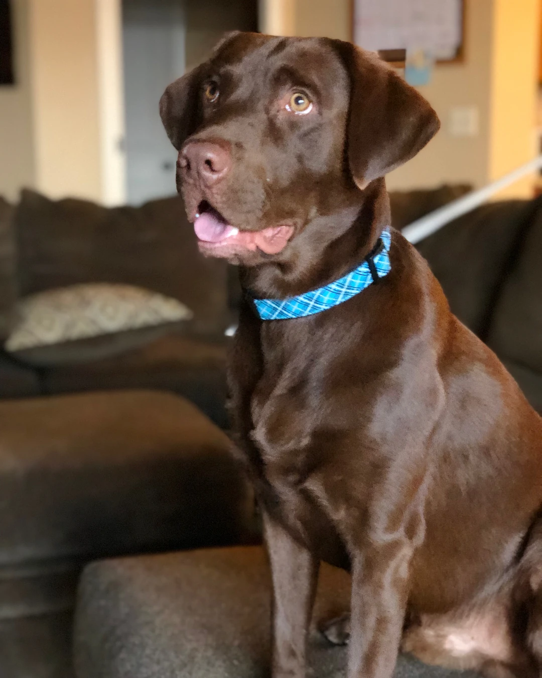 Kevin | JStu Wiki | Fandom