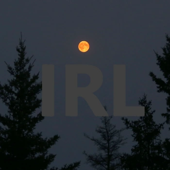 IRL-nil | JToH Most Difficulties Wiki | Fandom