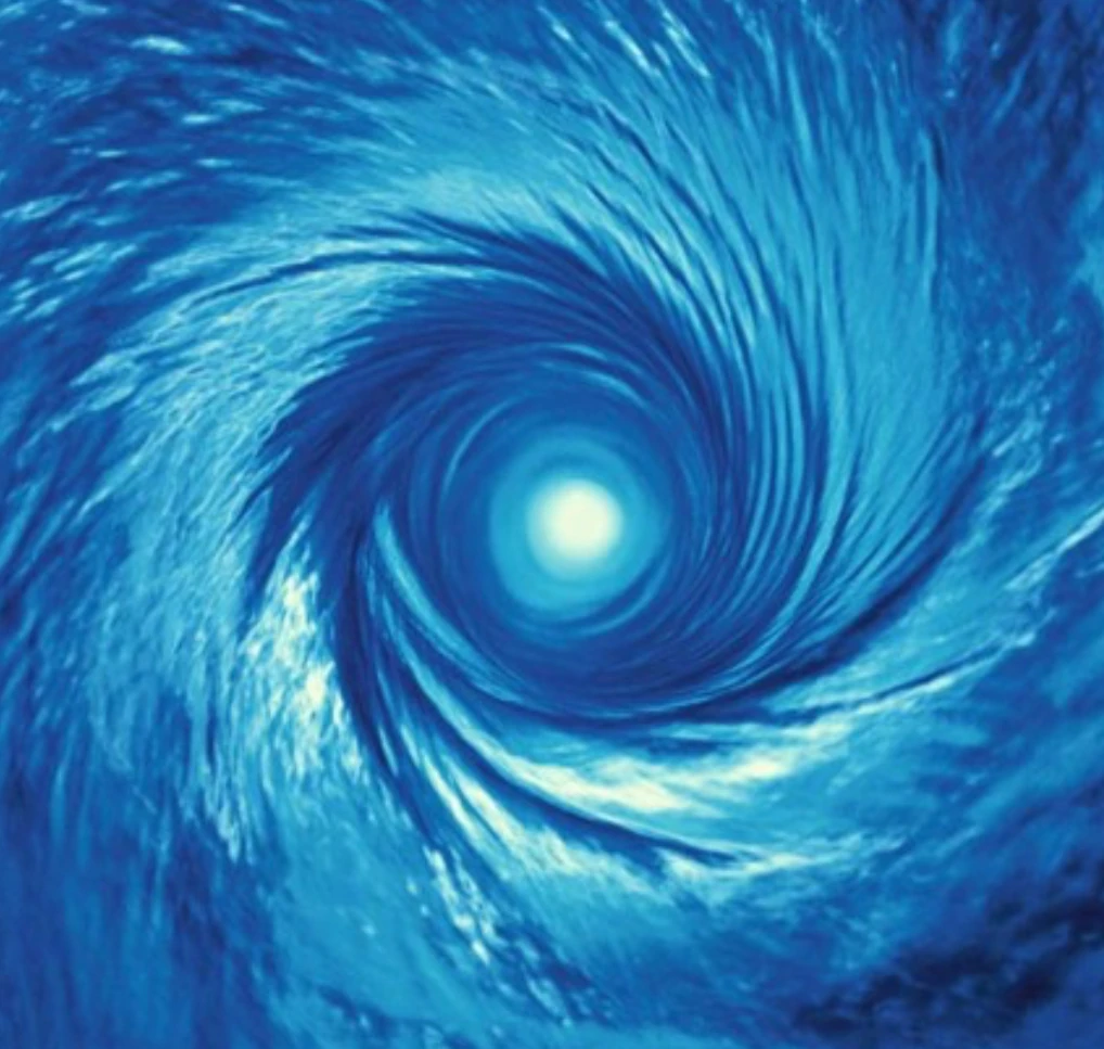 VORTEX | JToH's Joke Towers Wiki | Fandom