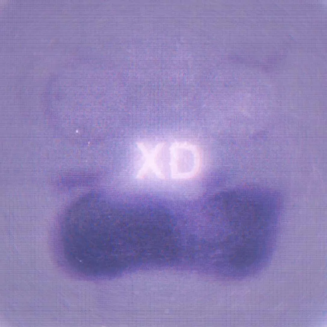 Xenodochiality | Jtohs too too hard remavped Wiki | Fandom