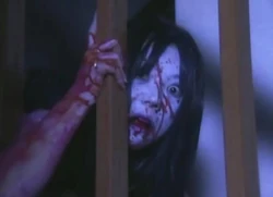 Kayako Saeki Te