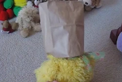 Grouch vs. Fat-Bear | Judge Mia Wiki | Fandom