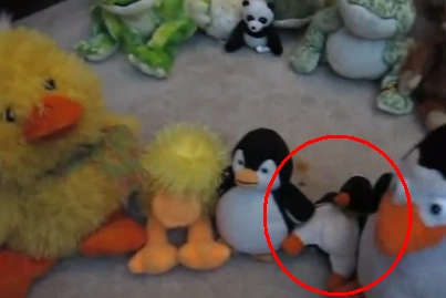 Unidentified penguin, 1 | Judge Mia Wiki | Fandom
