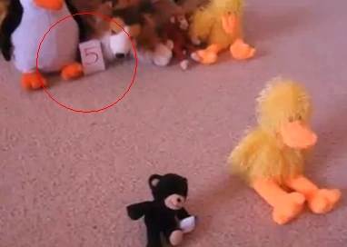 Hidden Number 5 | Judge Mia Wiki | Fandom