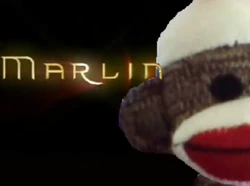 Marlin Teaser | Judge Mia Wiki | Fandom