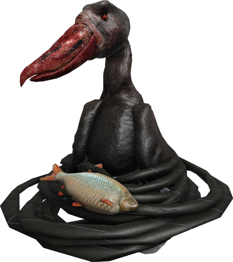 Shoebill | JUDY (Roblox) Wiki | Fandom