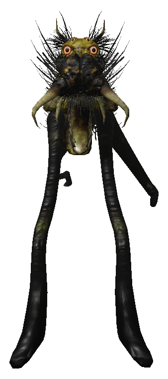 Walrus | JUDY (Roblox) Wiki | Fandom