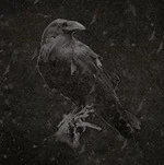 Waymar Royce | Wiki Juego de Tronos | Fandom