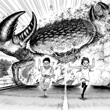 Shikigami | Jujutsu Kaisen: Blue Moon Wiki | Fandom