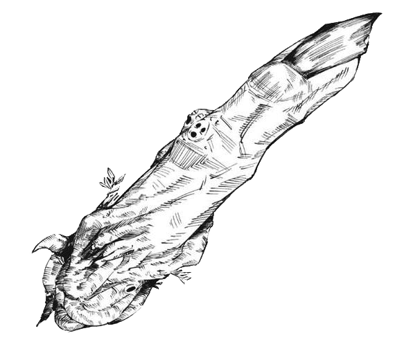 Ryomen Sukuna's Fingers/Image Gallery | Jujutsu Kaisen Wiki | Fandom