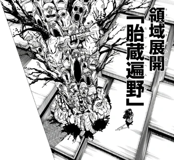 Womb Profusion | Jujutsu Kaisen Wiki | Fandom