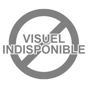 Sugawara no Michizane | Wiki Jujutsu Kaisen | Fandom