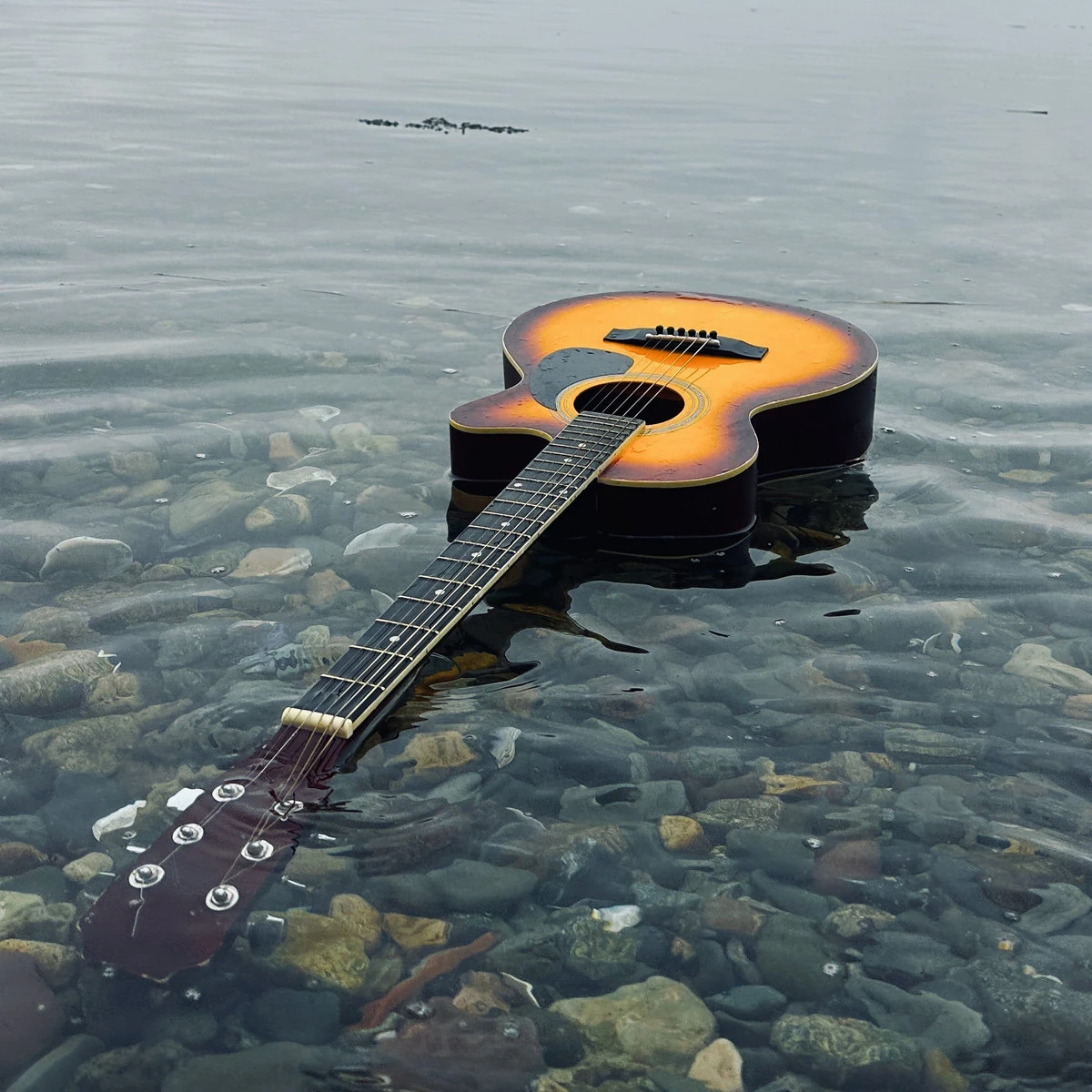 Bloody Maria! | Jukebox the Ghost Wiki | Fandom