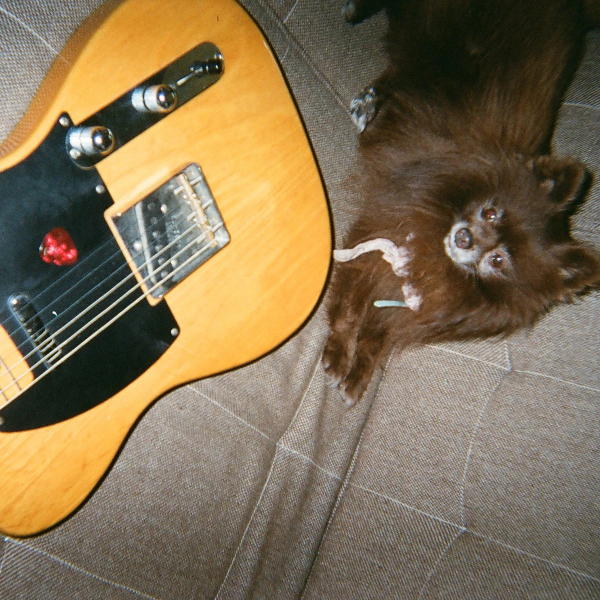 Category:Kristin | Jukebox the Ghost Wiki | Fandom