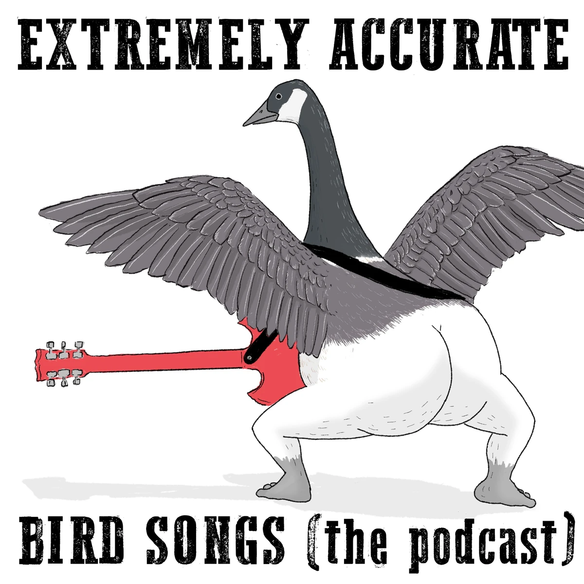 Extremely Accurate Bird Songs (The Podcast) | Jukebox the Ghost Wiki ...