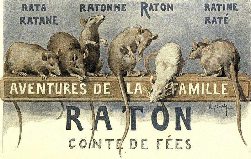 La Famille Raton | Wiki Jules Verne | Fandom