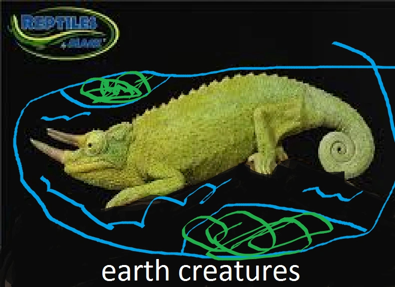 Earth creature lizards | Julien with the kratt brothers Wikia | Fandom