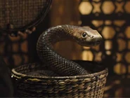 Bazaar | Jumanji Wiki | Fandom