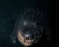 Jumanji: Welcome to the Jungle/Gallery | Jumanji Wiki | Fandom