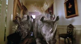 Rhinoceros Jumanji Wiki Fandom