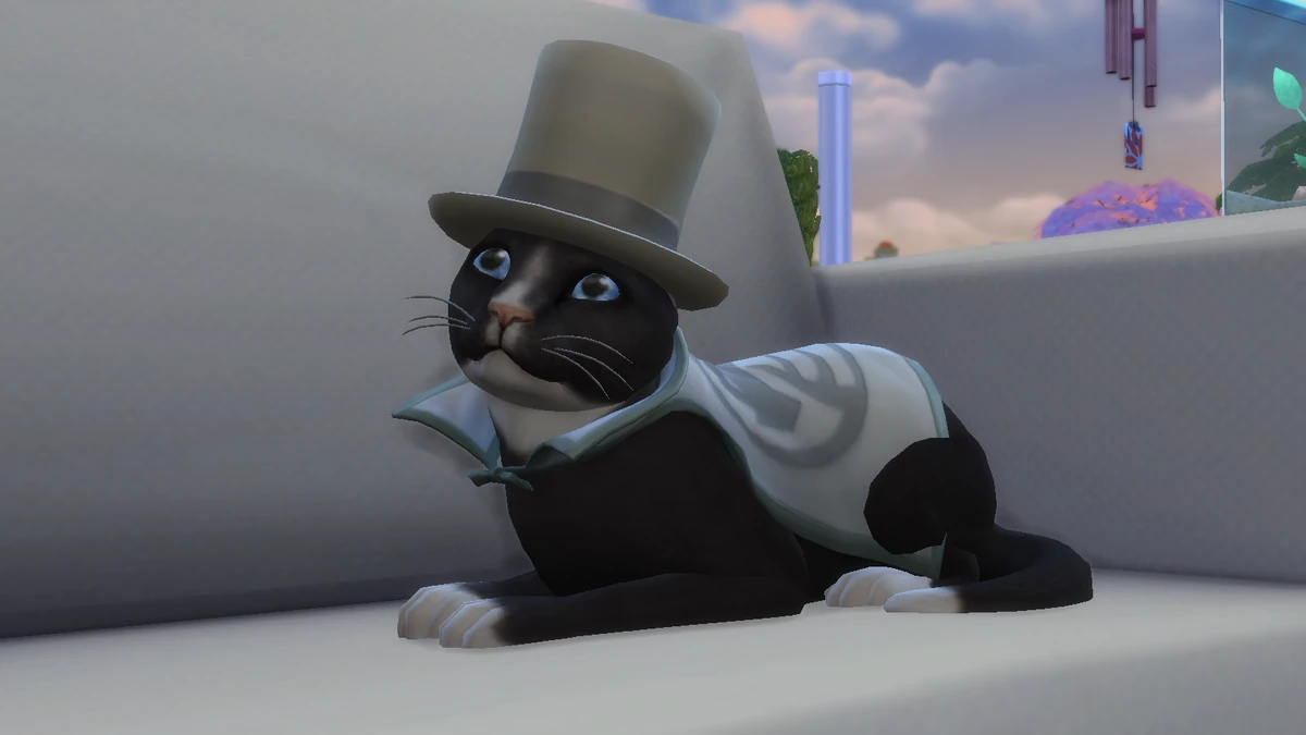 Jet Gallery Junction Wiki Fandom