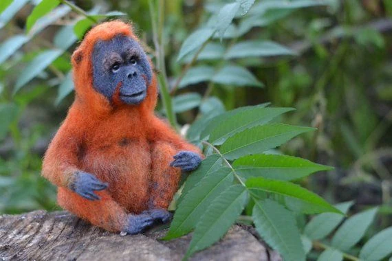 Orange Ape | Milk Ape Wiki | Fandom