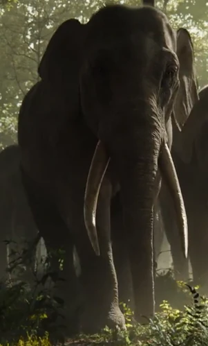 Hathi (2016) | Jungle Book Wiki | Fandom