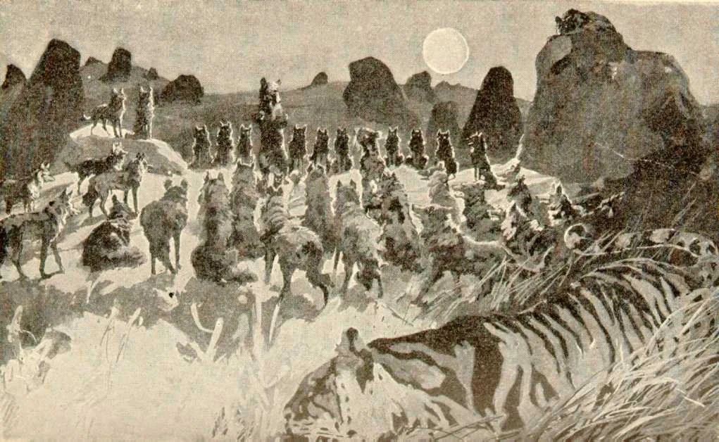 Council Rock | Jungle Book Wiki | Fandom