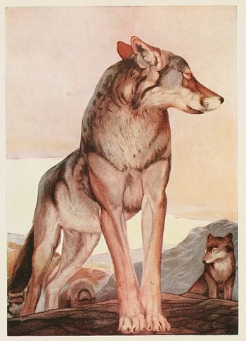 Akela (original) | Jungle Book Wiki | Fandom
