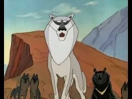 Akela | Jungle Book Wiki | Fandom