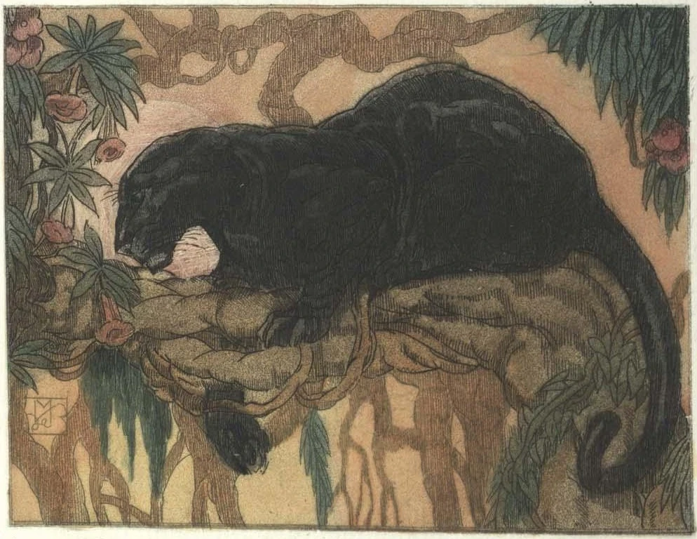 Bagheera (original) | Jungle Book Wiki | Fandom