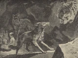 Category:Wolves | Jungle Book Wiki | Fandom