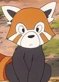 Category:Red pandas | Jungle Book Wiki | Fandom
