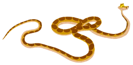 Kaa (Disney) | Jungle Book Wiki | Fandom