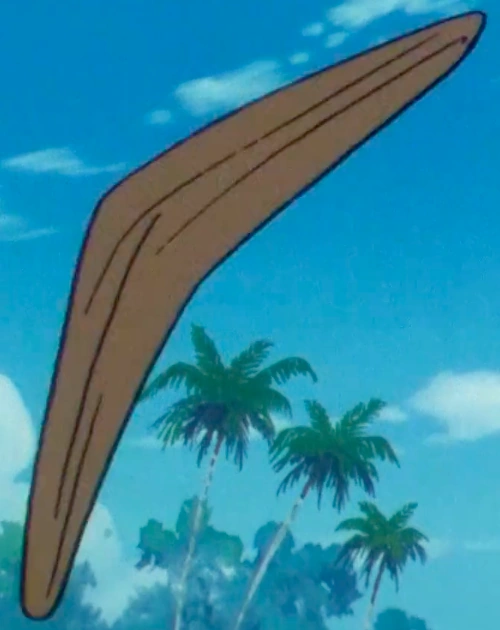 Boomerang | Jungle Book Wiki | Fandom