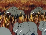 Elephant | Jungle Emperor Leo Wiki | Fandom