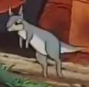Kangaroo | Jungle Emperor Leo Wiki | Fandom