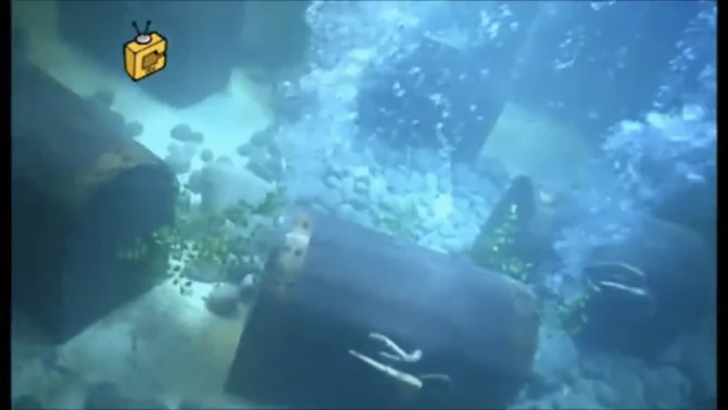 Jungle Run Wiki | Fandom